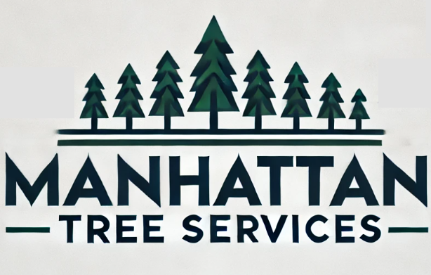 MANHATTAN TREE SERVICES|Tree Service NYC|Tree Removal NYC
